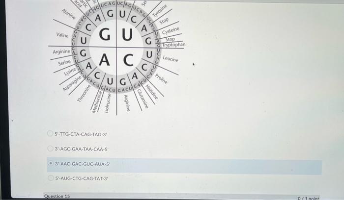 Solved 14. examine the table of codons in the figure above. | Chegg.com