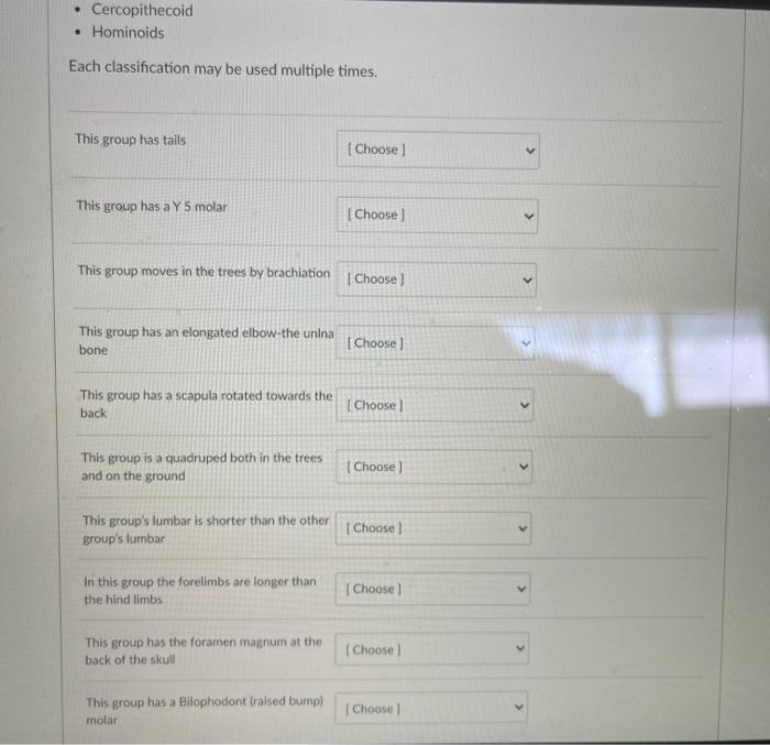 Solved • Cercopithecoid • Hominoids Each classification may | Chegg.com
