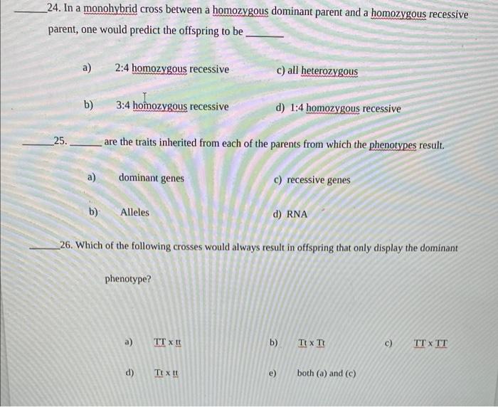 Solved 24. In a monohybrid cross between a homozygous | Chegg.com