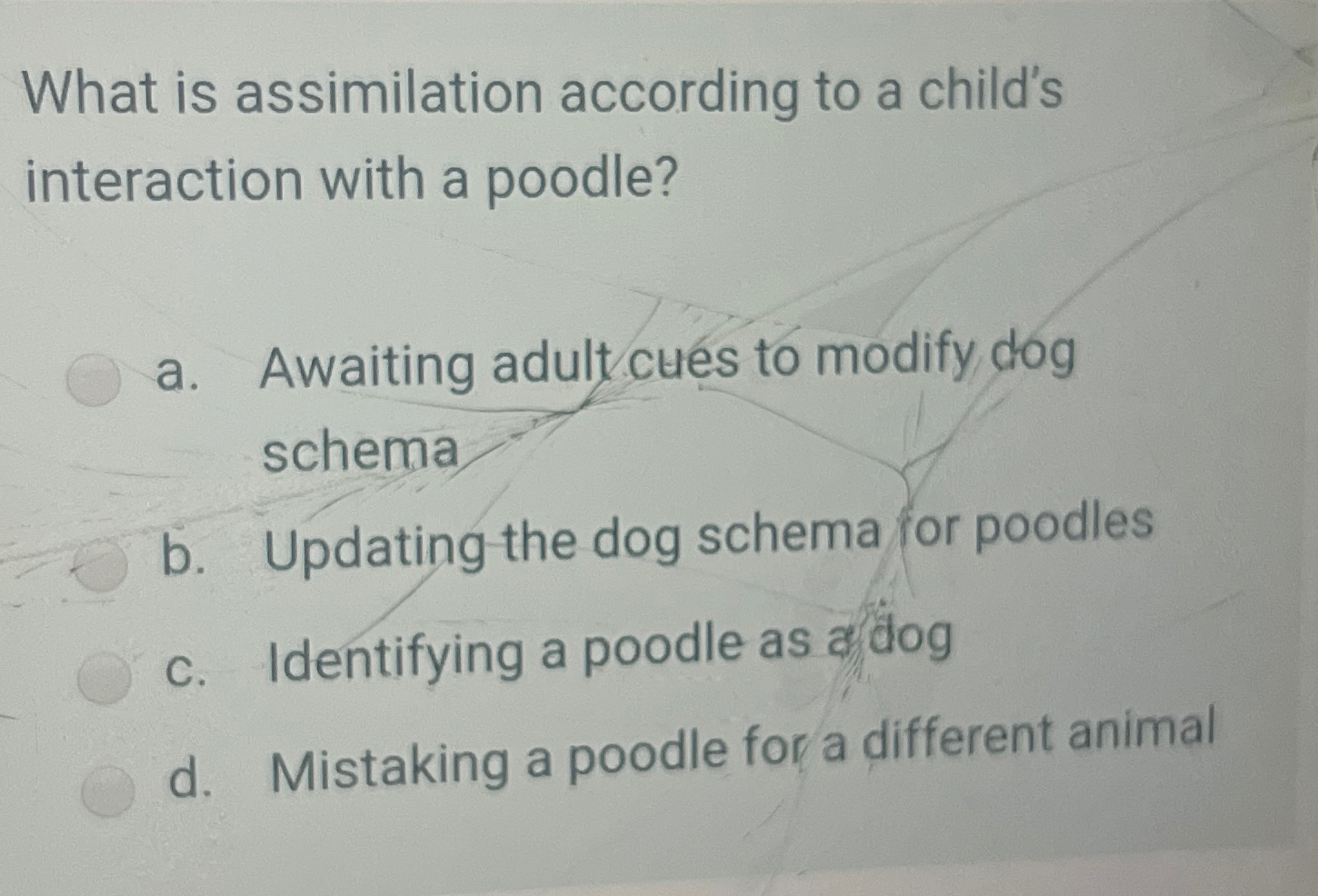 Solved What is assimilation according to a child's | Chegg.com
