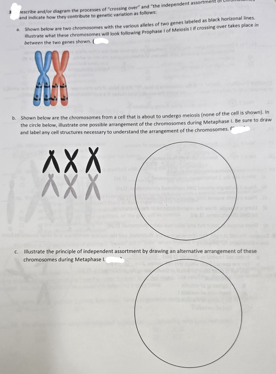 Solved 3 ,escribe and/or diagram the processes of "crossing | Chegg.com