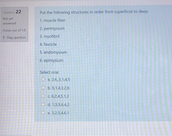 Solved Question 22 Put the following structures in order | Chegg.com