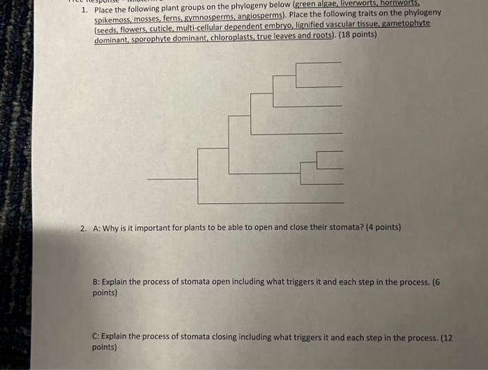 Solved 1. Place the following plant groups on the phylogeny | Chegg.com