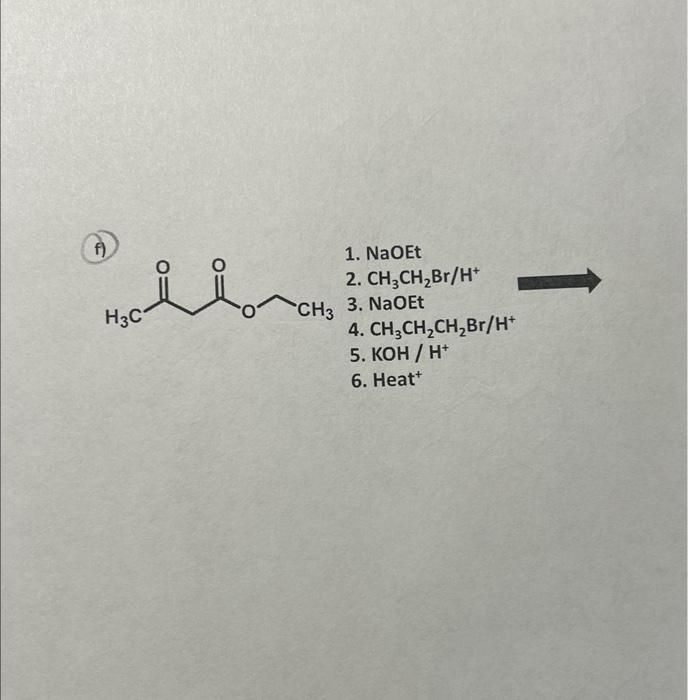 Solved (i) 1. NaOEt 2. CH3CH2Br/H+ 3. NaOEt 4. | Chegg.com