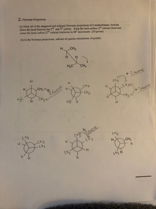 Solved 2. Newman Projections (a) Draw all of the staggered | Chegg.com