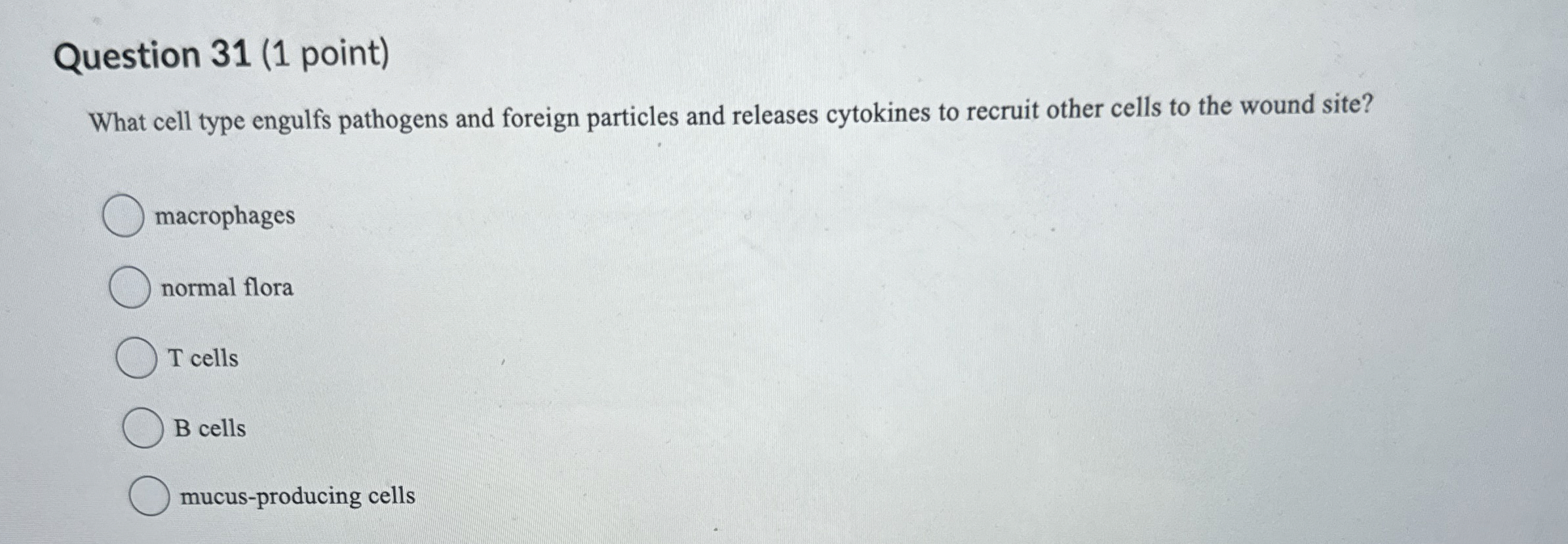 Solved Question 31 (1 ﻿point)What cell type engulfs | Chegg.com