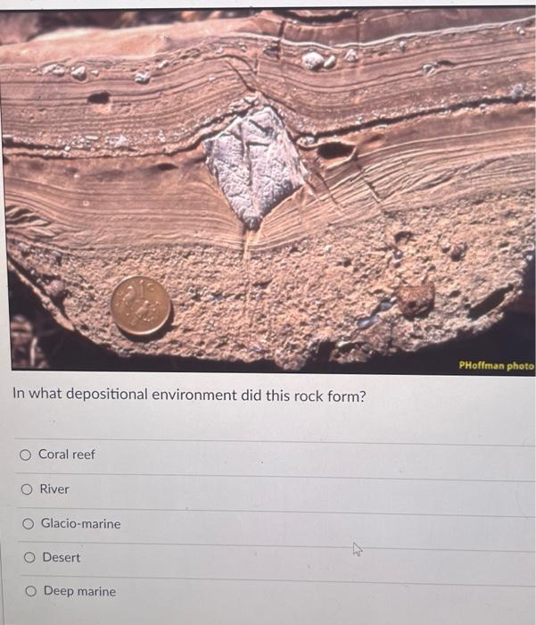 Solved In what depositional environment did this rock form? | Chegg.com