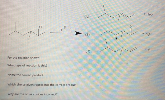 Solved HO H2O H2O For the reaction shown: What type of | Chegg.com