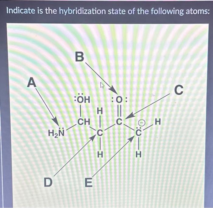 Solved Indicate is the hybridization state of the following | Chegg.com