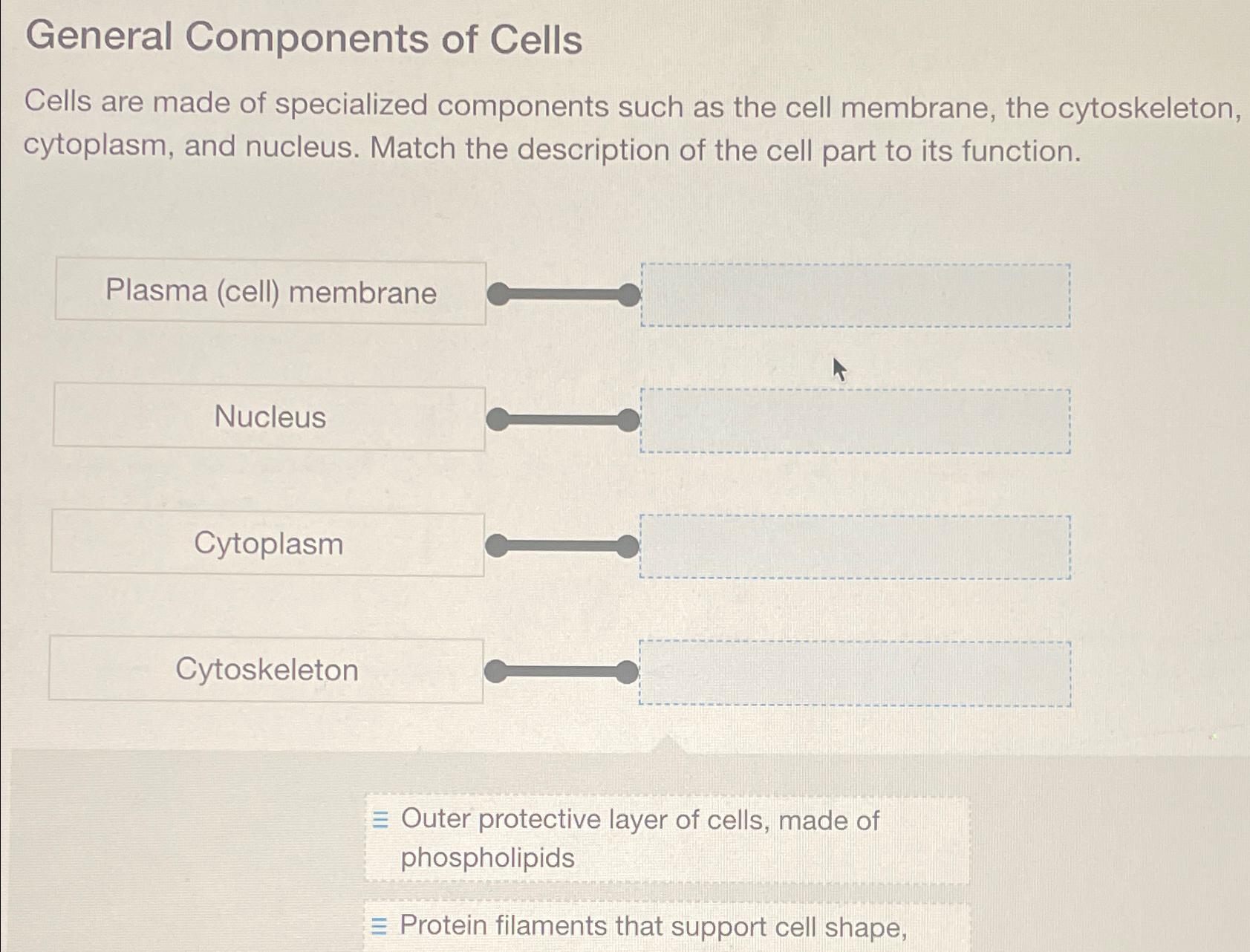 Solved General Components of CellsCells are made of | Chegg.com