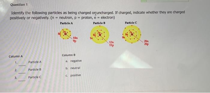 Solved Question 1 Identify the following particles as being | Chegg.com