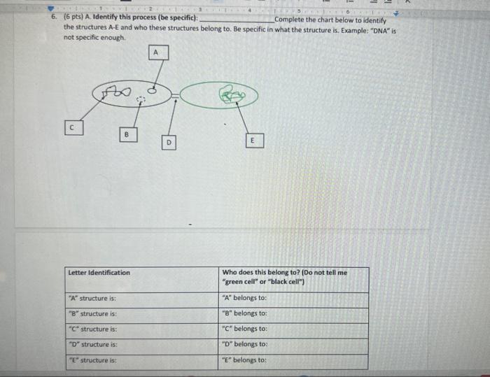 Solved this is all homework please help me i really need | Chegg.com