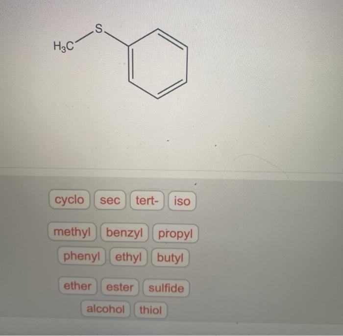 Solved S. H₃C' cyclo sec tert- iso methyl benzyl propyl | Chegg.com