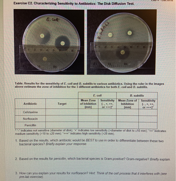 Solved Exercise C2. Characterizing Sensitivity to | Chegg.com