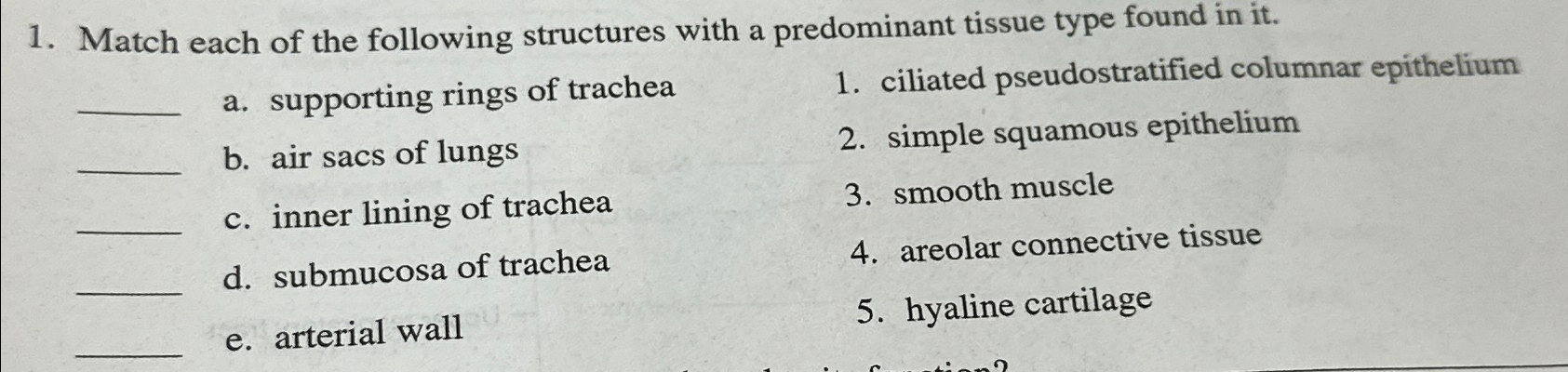 Solved Match each of the following structures with a | Chegg.com