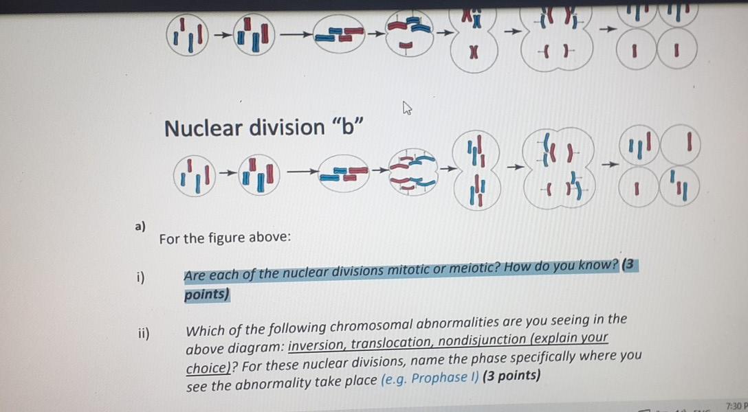 Solved X th Nuclear division "b" 4. H to's 1 a) For the | Chegg.com