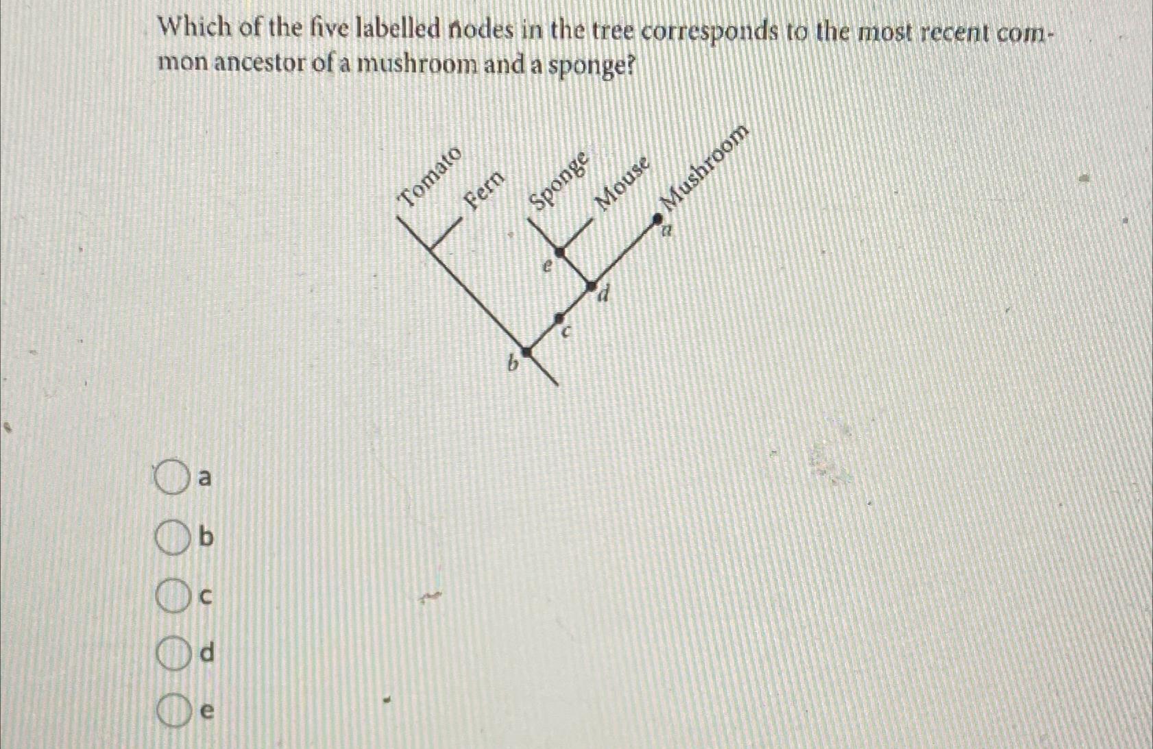 Solved Which of the five labelled nodes in the tree | Chegg.com
