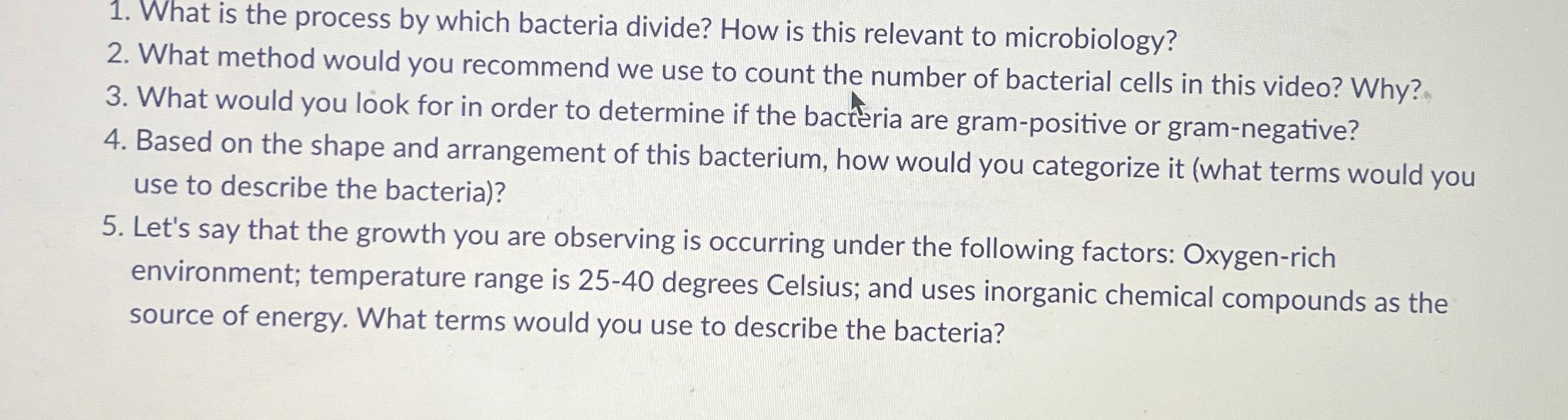 Solved What is the process by which bacteria divide? How is | Chegg.com