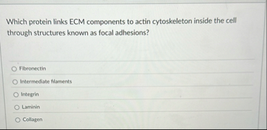 Solved Which protein links ECM components to actin | Chegg.com
