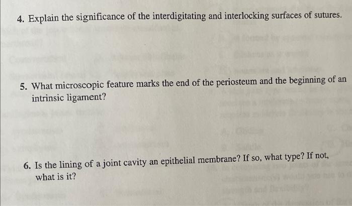 Solved 4. Explain the significance of the interdigitating | Chegg.com