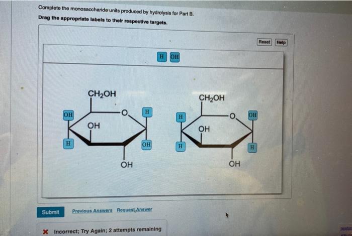 Solved Complete the monosaccharide units produced by | Chegg.com