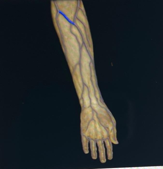 Solved what is thst strucutre? | Chegg.com