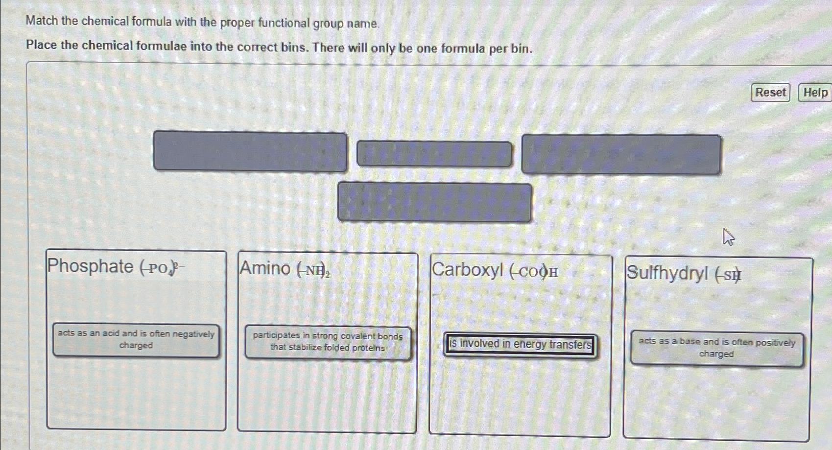 Solved Match the chemical formula with the proper functional | Chegg.com
