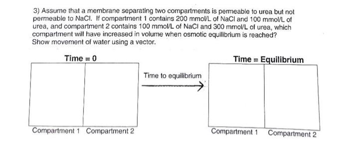 Solved 3) Assume that a membrane separating two compartments | Chegg.com