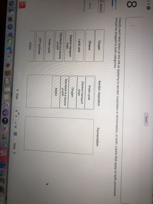 Solved iz 5 Saved 8. Classify each label listed on the left | Chegg.com