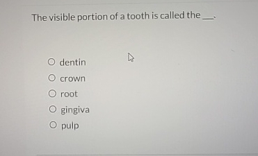 Solved The visible portion of a tooth is called the | Chegg.com