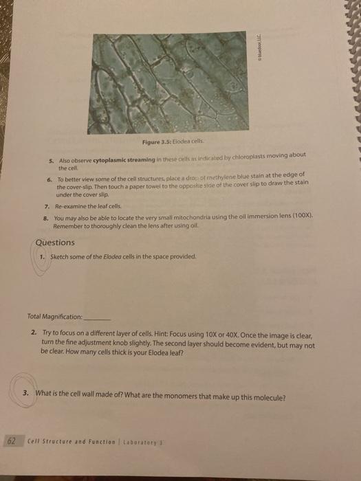 LABORATORY 3 CELL STRUCTURE AND FUNCTION Name: Date: | Chegg.com