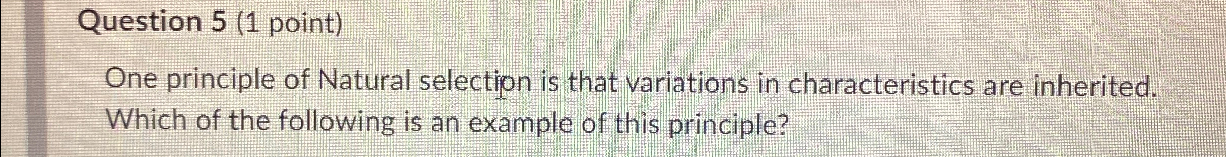 Solved Question 5 (1 ﻿point)One principle of Natural | Chegg.com