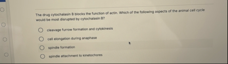 Solved The drug cytochalasin B blocks the function of actin. | Chegg.com