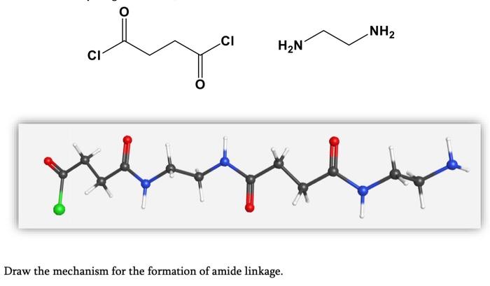 Solved Draw the machanism for the formation of an amide | Chegg.com