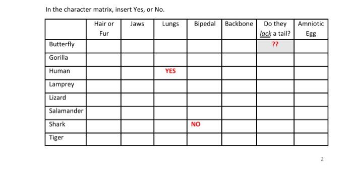 Solved In the character matrix, insert Yes, or No. Lungs | Chegg.com