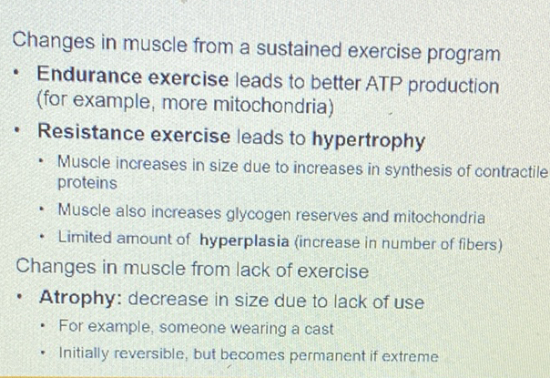 Solved Changes in muscle from a sustained exercise | Chegg.com