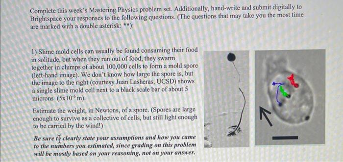 Solved Complete this week's Mastering Physics problem set. | Chegg.com