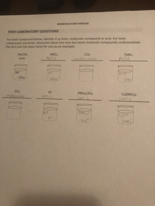 Solved NOMENCLATURE EXERCISE POST-LABORATORY QUESTIONS For | Chegg.com