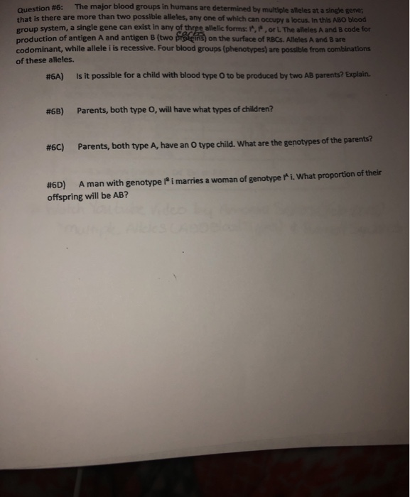 Solved Question 6 The Major Blood Groups In Humans Are Chegg