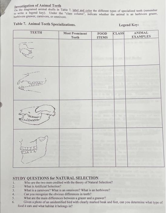 Solved Investigation of Animal Teeth On the diagramed animal | Chegg.com