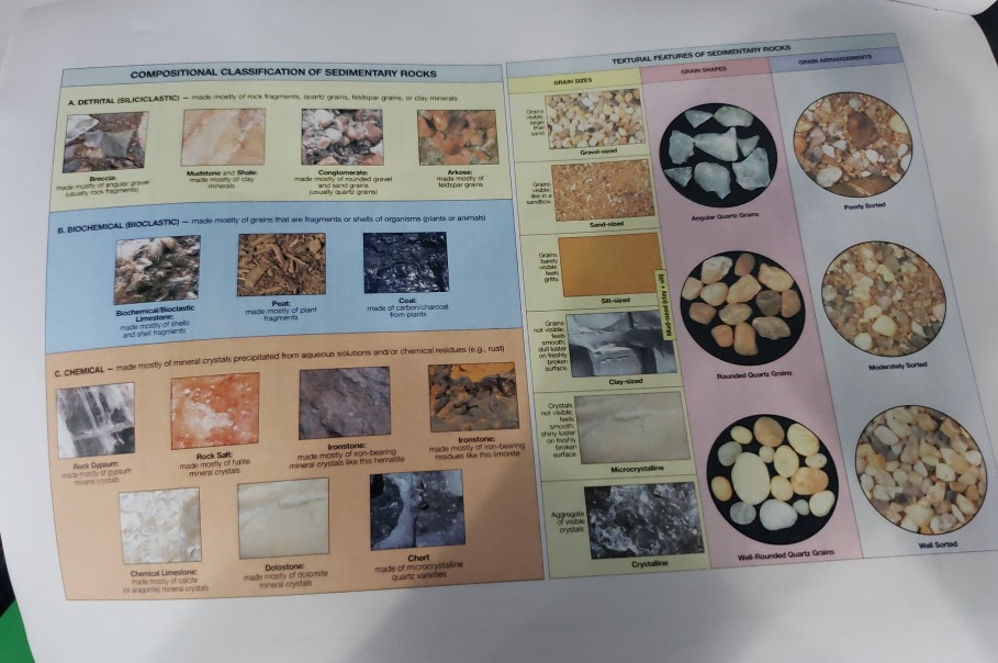 Solved Sedimentary Rocks Use the lab book and the rock | Chegg.com