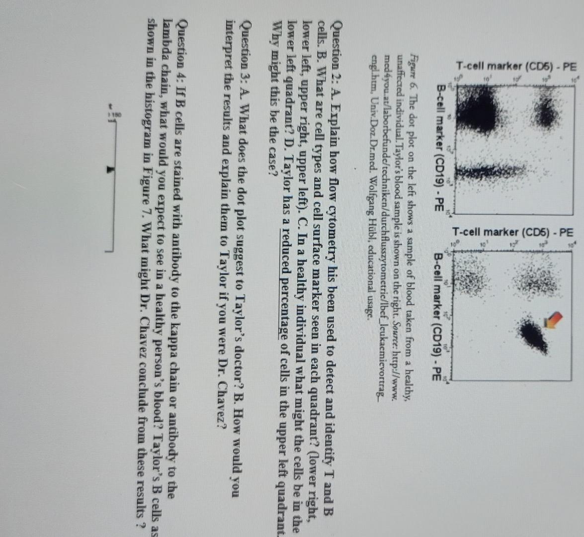T-cell marker (CD5) - PE | Chegg.com