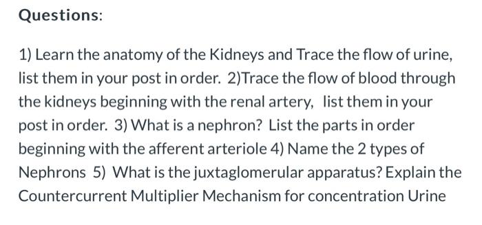 Solved Questions: 1) Learn the anatomy of the Kidneys and | Chegg.com