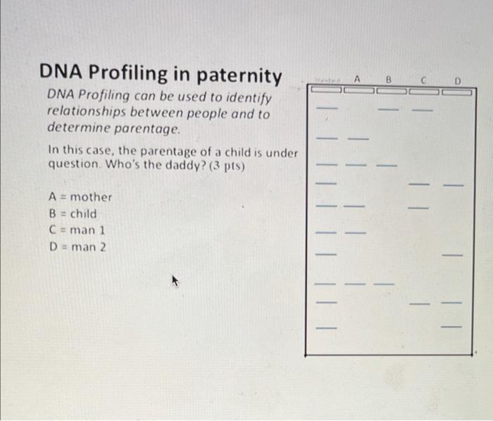 Solved C D DNA Profiling in paternity DNA Profiling can be | Chegg.com