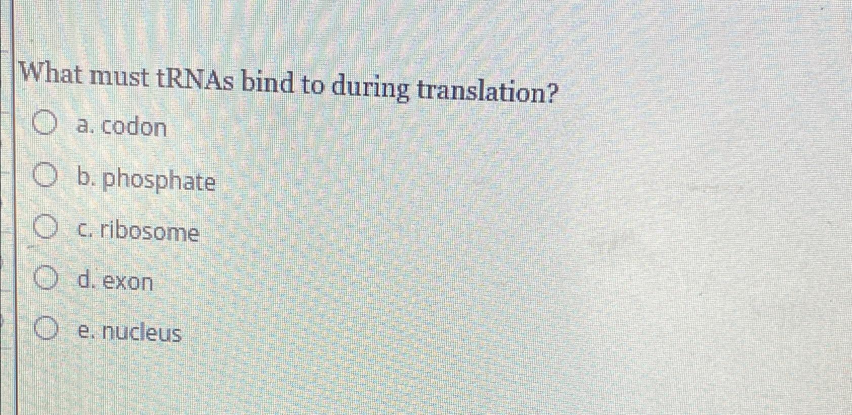 Solved What must tRNAs bind to during translation?a. | Chegg.com