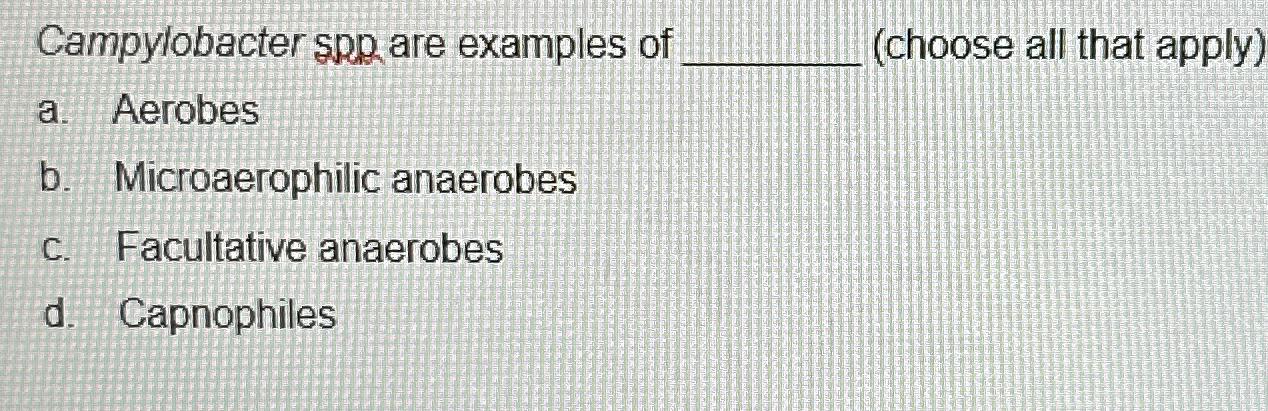 Solved Campylobacter spp are examples of (choose all that | Chegg.com