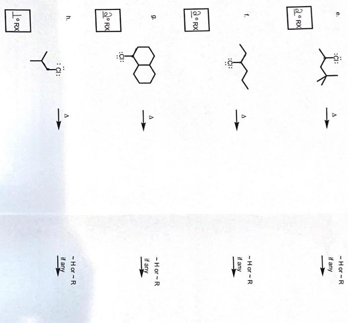 Solved Instructions:1. Categorize the alkyl halide as 1°, | Chegg.com Solved Instructions:1. Categorize the alkyl halide as 1°, | Chegg.com
