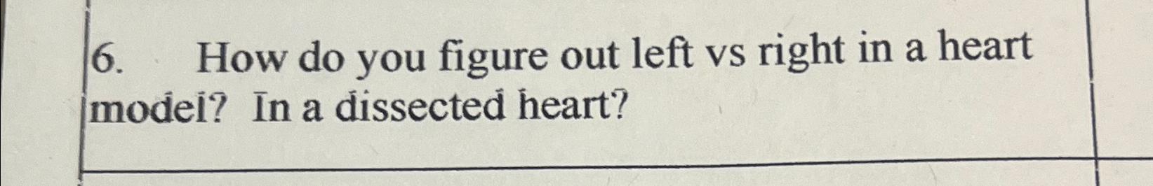 Solved How do you figure out left vs right in a heart model? | Chegg.com