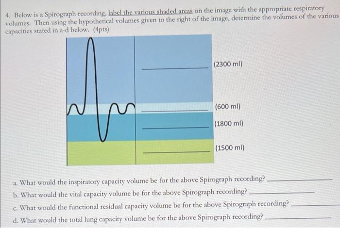 Solved 4. Below is a Spirograph recording, label the various | Chegg.com