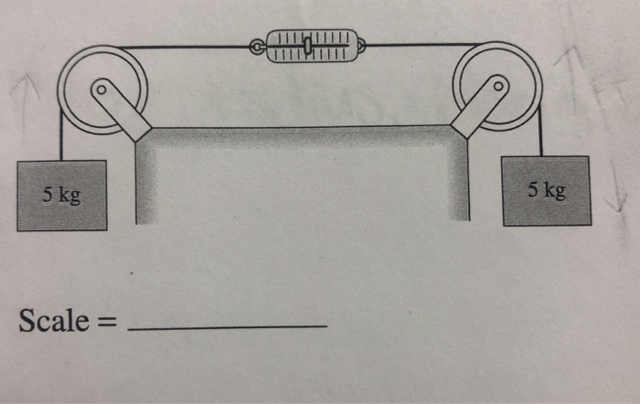 Solved determine the reading of the spring scale. - all | Chegg.com